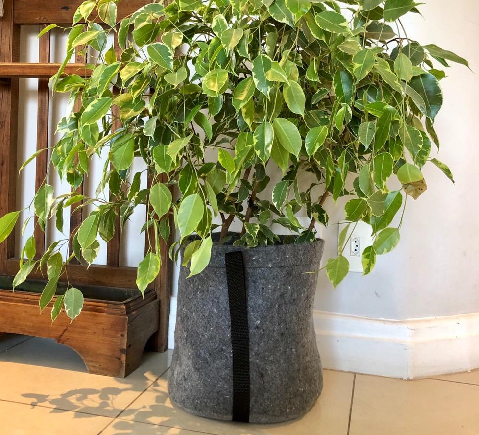 Vasoflex para cultivo e transplante de vegetação em floreiras