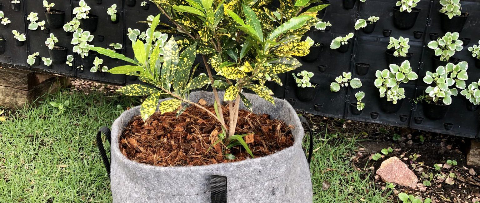 Vasoflex para cultivo e transplante de vegetação em floreiras
