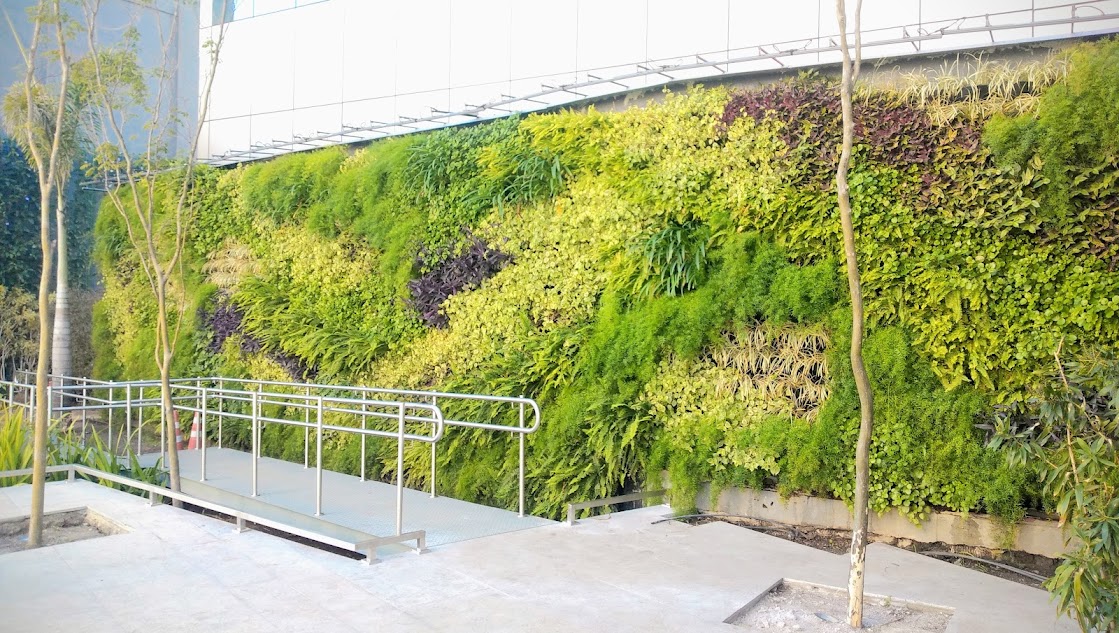 Muro verde artificial e natural: dicas e como funciona